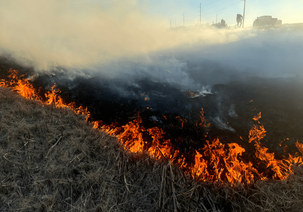 Electrical Experts, Everyday Heroes: Fighting a Roadside Brush Fire ...